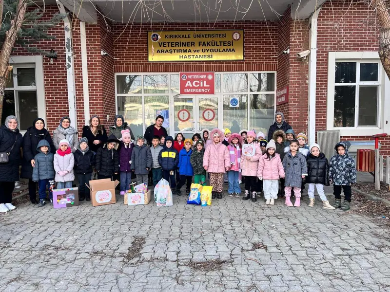 Kırıkkale Üniversitesi